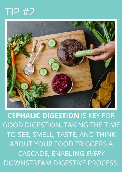 A Practical Guide to Digestion e-Book – Kultured Wellness